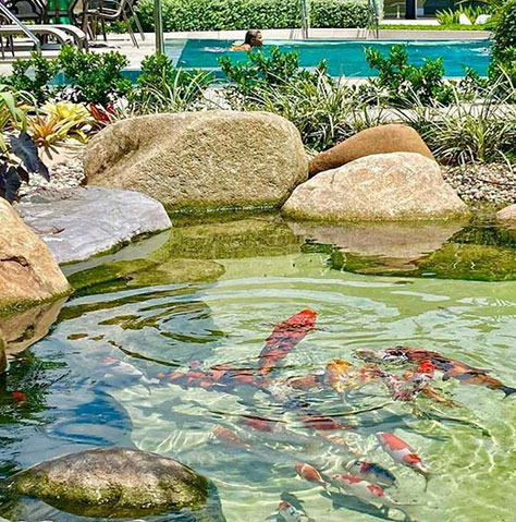 Pousada do Lago Penedo - Itatiaia, RJ